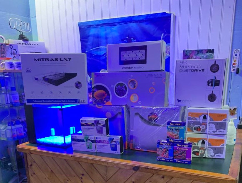 Neptune Systems – Blue Water Coral