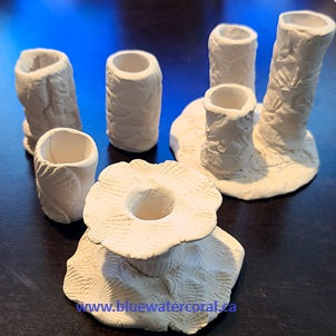 New! Ceramic Frag Plug Holders & Discs – Blue Water Coral