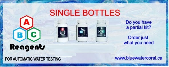 Blue Water Coral - Niagara On The Lake, Ontario, Canada